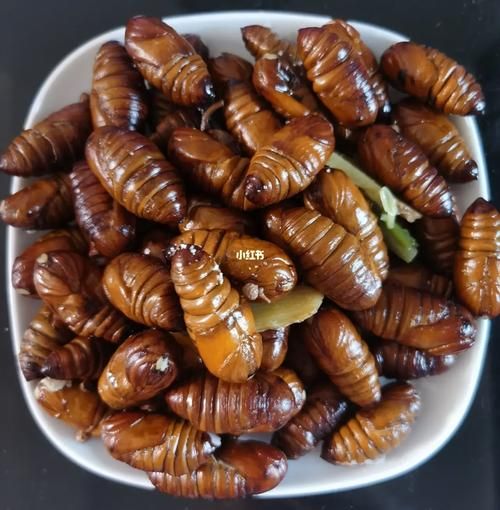 盐水煮蚕蛹怎么做_盐水煮蚕蛹要煮多久-第1张图片-山城妙识