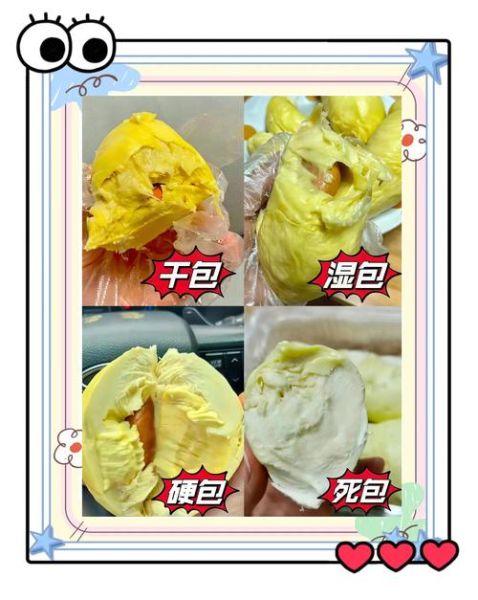 榴莲皮晒干了怎么吃_榴莲皮干的功效与做法-第1张图片-山城妙识