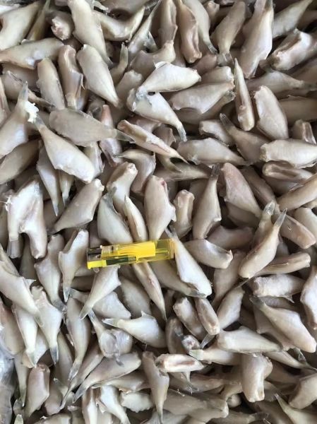 马面鱼的营养价值_马面鱼怎么吃最营养-第1张图片-山城妙识 马面鱼的营养价值_马面鱼怎么吃最营养-第1张图片-山城妙识