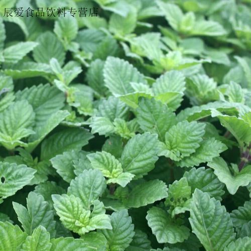 广东凉粉怎么做_正宗配方比例-第3张图片-山城妙识 广东凉粉怎么做_正宗配方比例-第3张图片-山城妙识