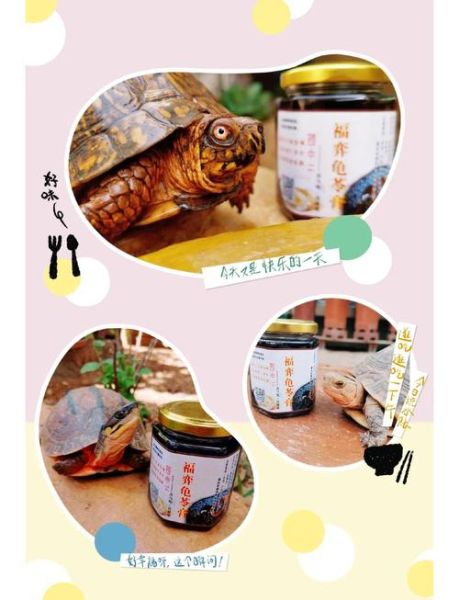 龟苓膏是用龟做的吗_正宗配方揭秘-第3张图片-山城妙识