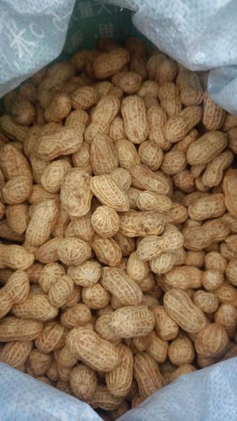 花生米多少钱一斤_花生米价格行情-第1张图片-山城妙识 花生米多少钱一斤_花生米价格行情-第1张图片-山城妙识