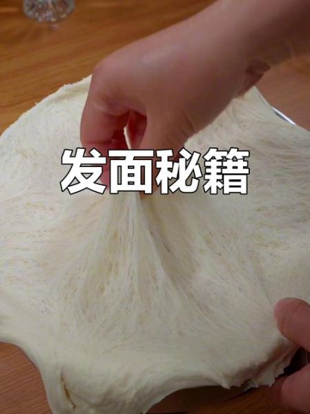 快速发面做包子怎么做_包子发面失败的原因-第2张图片-山城妙识