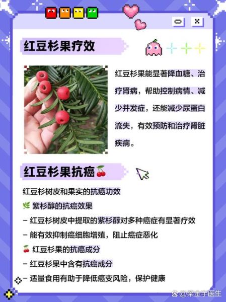 红豆杉果实的功效与作用_红豆杉果实怎么吃才安全-第2张图片-山城妙识