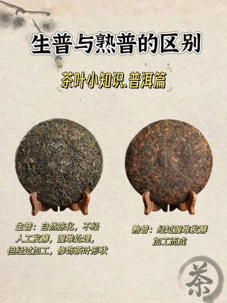 普洱茶贵吗_普洱茶价格为什么差别大-第3张图片-山城妙识
