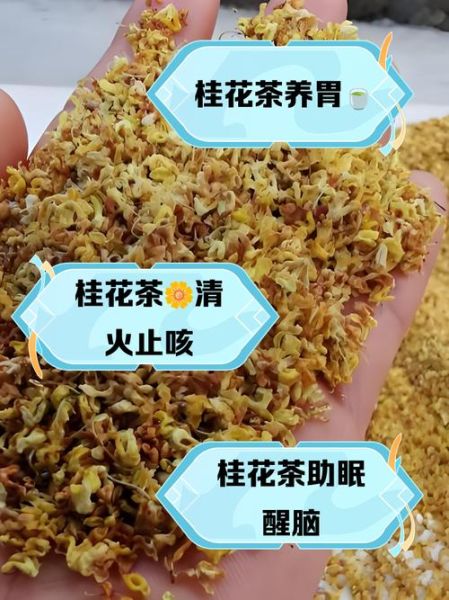 桂花茶怎么泡才正确_桂花茶泡多久最好喝-第1张图片-山城妙识 桂花茶怎么泡才正确_桂花茶泡多久最好喝-第1张图片-山城妙识