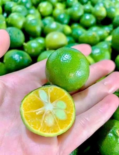 青柠檬泡水喝能减肥吗_青柠檬水的正确喝法-第1张图片-山城妙识