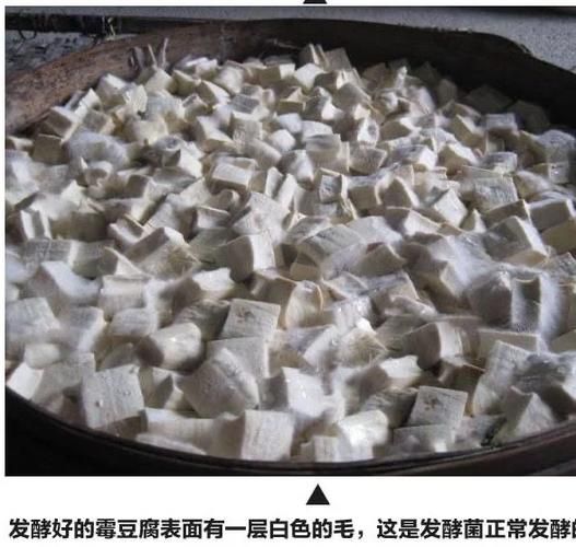 自制豆腐乳的做法_豆腐乳配方比例是多少-第1张图片-山城妙识 自制豆腐乳的做法_豆腐乳配方比例是多少-第1张图片-山城妙识