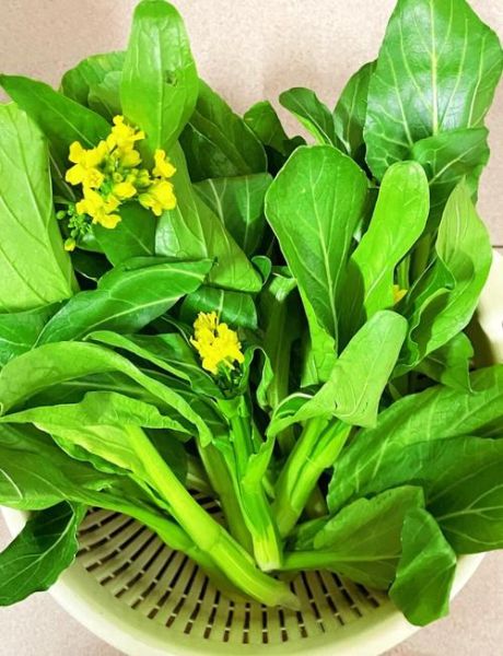 白灼菜心里的青菜叫什么_它和油菜有什么区别-第1张图片-山城妙识