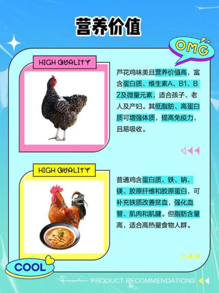 芦花鸡是什么鸡_芦花鸡和普通鸡的区别-第1张图片-山城妙识