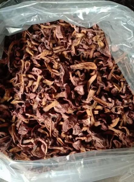 肉蘑是什么_肉蘑怎么做好吃-第1张图片-山城妙识