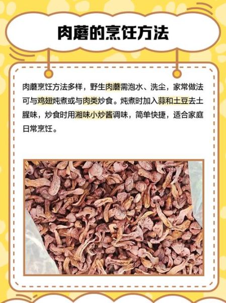 肉蘑是什么_肉蘑怎么做好吃-第3张图片-山城妙识