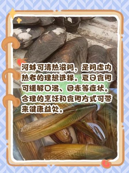 蚌怎么读拼音_蚌的读音是什么-第2张图片-山城妙识