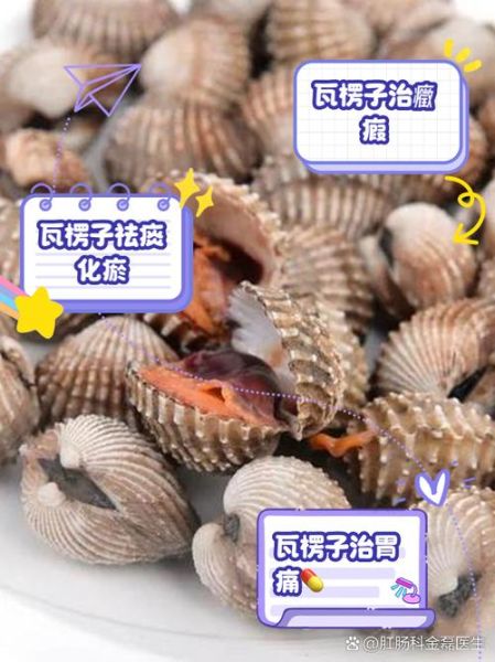 瓦楞子功效与作用_瓦楞子怎么吃-第1张图片-山城妙识