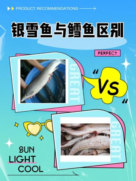 真鳕鱼是什么鱼_真鳕鱼与银鳕鱼区别-第1张图片-山城妙识