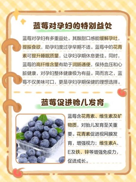 蓝莓吃多了有什么坏处_蓝莓过量副作用-第1张图片-山城妙识