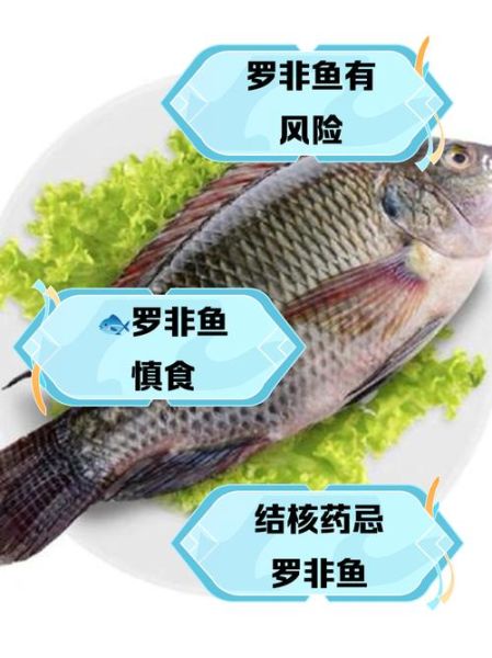 罗非鱼为什么不能吃_吃罗非鱼有什么危害-第3张图片-山城妙识