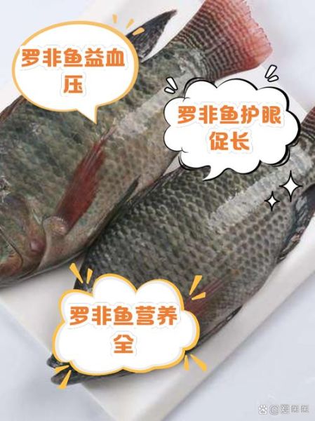 罗非鱼为什么不能吃_吃罗非鱼有什么危害-第2张图片-山城妙识