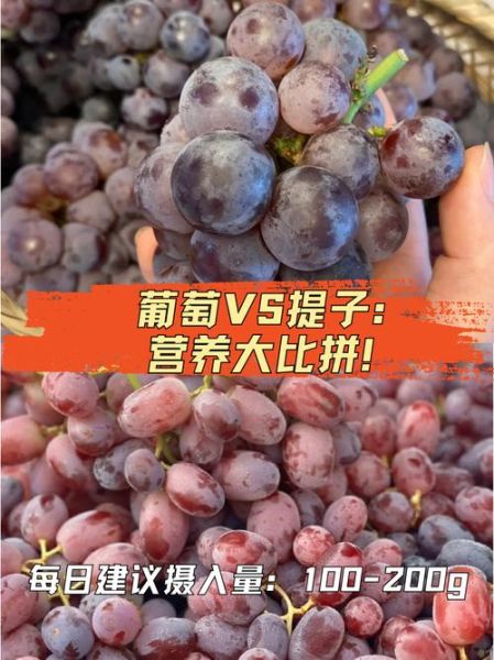 提子品种有哪些_提子和葡萄的区别-第2张图片-山城妙识