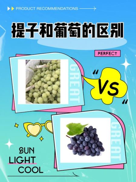 提子品种有哪些_提子和葡萄的区别-第1张图片-山城妙识