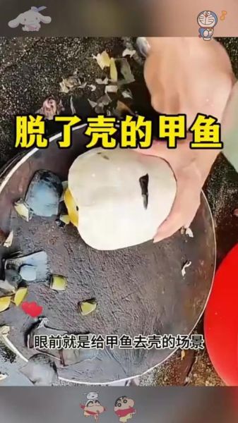 甲鱼怎么去壳_甲鱼去皮最快方法-第1张图片-山城妙识