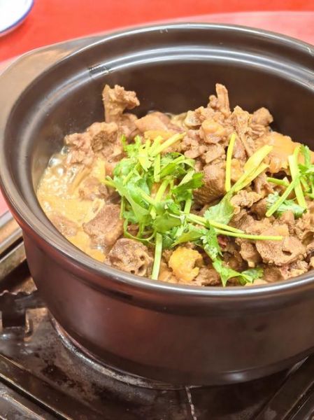 家常炖鸭子怎么做好吃_炖鸭子简单做法视频-第3张图片-山城妙识