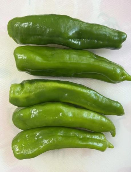 虎皮尖椒辣不辣_虎皮尖椒辣度等级-第1张图片-山城妙识