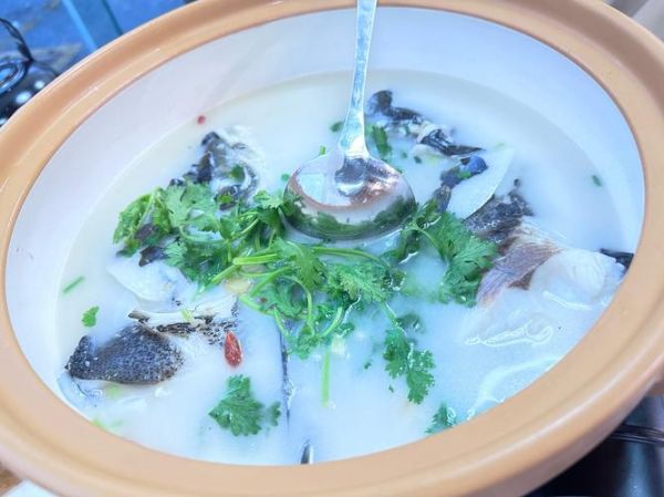 鱼头汤怎么做最正宗_鱼头汤用什么鱼最好-第2张图片-山城妙识 鱼头汤怎么做最正宗_鱼头汤用什么鱼最好-第2张图片-山城妙识
