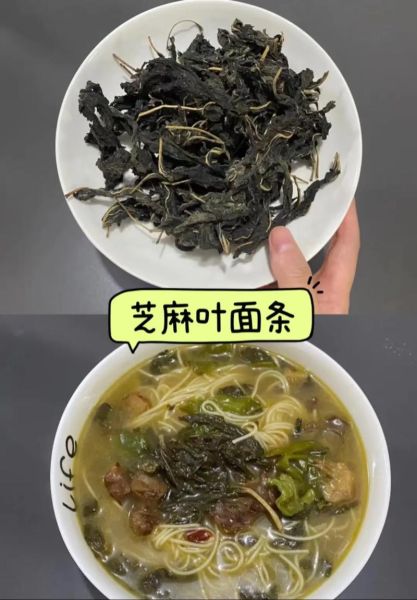 芝麻叶面条怎么做好吃_芝麻叶面条的家常做法-第1张图片-山城妙识