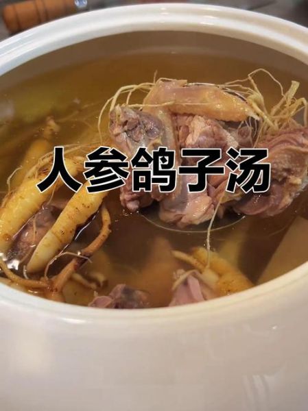 人参蒸鸽子怎么做_人参蒸鸽子的做法大全-第1张图片-山城妙识