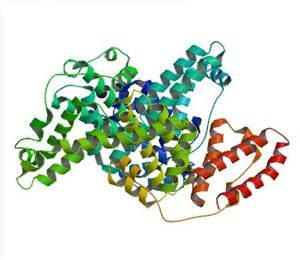 牛血清白蛋白标准曲线怎么做_如何计算蛋白浓度-第2张图片-山城妙识 牛血清白蛋白标准曲线怎么做_如何计算蛋白浓度-第2张图片-山城妙识