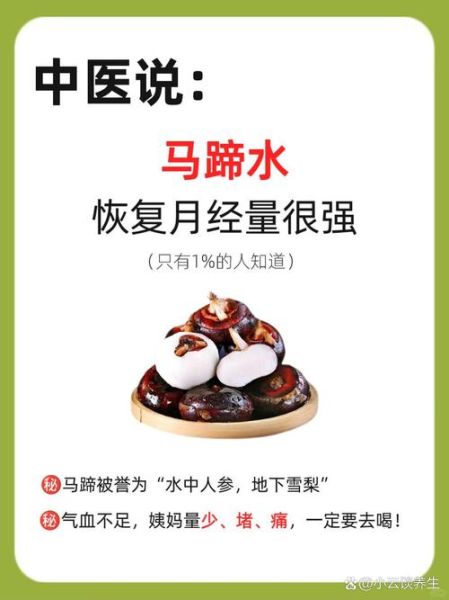 马蹄的功效与作用_马蹄怎么吃最润肺-第3张图片-山城妙识 马蹄的功效与作用_马蹄怎么吃最润肺-第3张图片-山城妙识