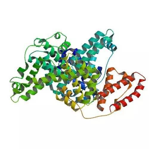 牛血清白蛋白标准曲线怎么做_如何计算蛋白浓度-第3张图片-山城妙识 牛血清白蛋白标准曲线怎么做_如何计算蛋白浓度-第3张图片-山城妙识