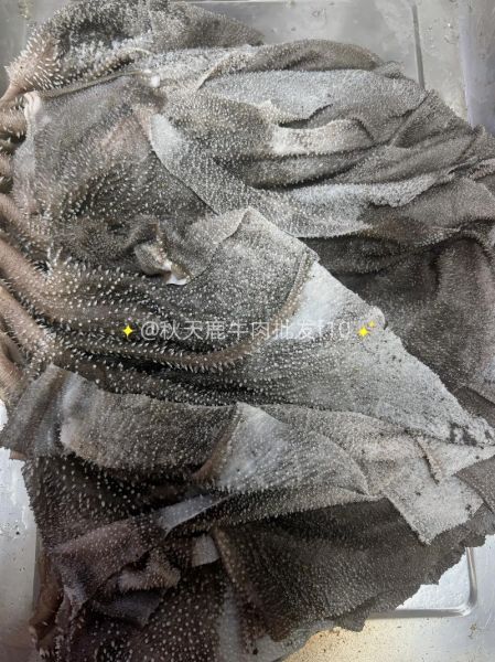 牛百叶图片大全大图_如何挑选新鲜牛百叶-第1张图片-山城妙识