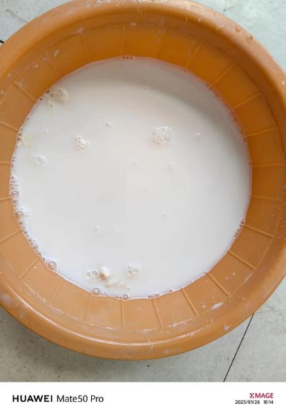 凉皮蒸出来太烂还粘_怎么补救-第3张图片-山城妙识