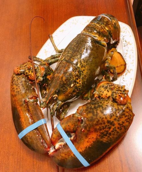 大龙虾怎么做好吃_大龙虾的家常做法-第2张图片-山城妙识