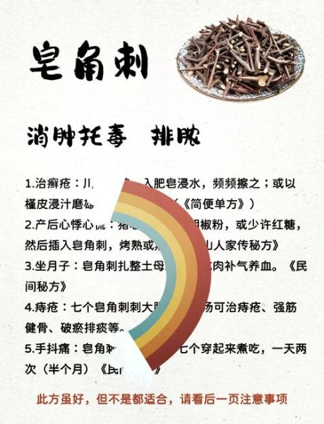 皂角刺偏方治什么病_皂角刺外用方法-第1张图片-山城妙识