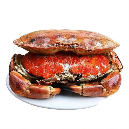 冷冻面包蟹蒸多久才熟_蒸面包蟹需要多长时间-第2张图片-山城妙识