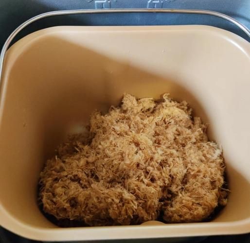 面包机果酱功能怎么做肉松_面包机果酱模式做肉松详细步骤-第1张图片-山城妙识