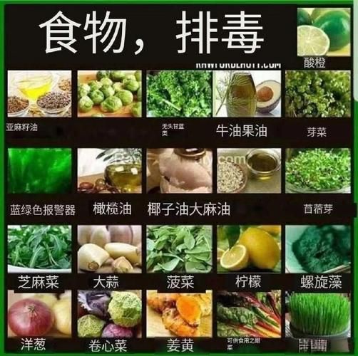 吃什么食物排毒最快_四种食物清除全身毒素-第2张图片-山城妙识