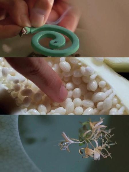 青木瓜之味讲了什么故事_越南电影青木瓜之味剧情解析-第2张图片-山城妙识 青木瓜之味讲了什么故事_越南电影青木瓜之味剧情解析-第2张图片-山城妙识