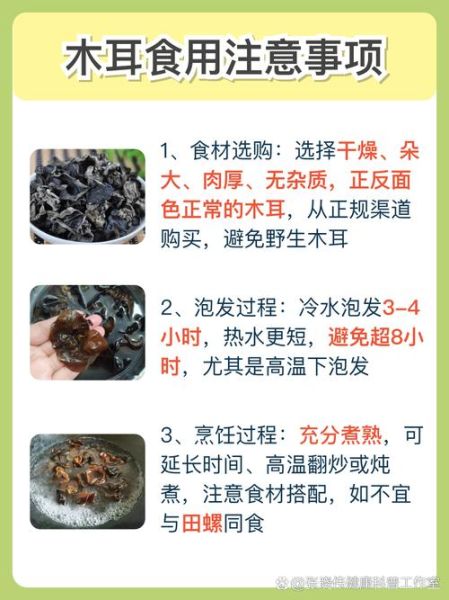 木耳的功效与作用_木耳怎么吃最健康-第1张图片-山城妙识 木耳的功效与作用_木耳怎么吃最健康-第1张图片-山城妙识