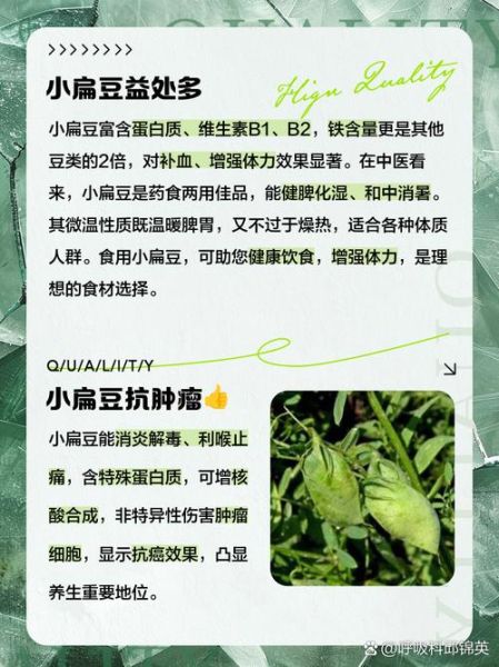 小扁豆禁忌人群有哪些_痛风患者能吃小扁豆吗-第2张图片-山城妙识 小扁豆禁忌人群有哪些_痛风患者能吃小扁豆吗-第2张图片-山城妙识