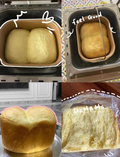 东菱面包机做面包的做法_东菱面包机做面包为什么失败-第1张图片-山城妙识