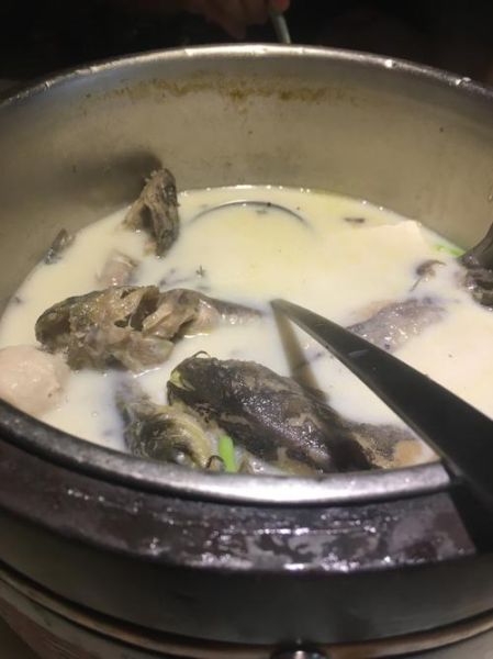 怎么炖鱼汤好喝又营养_炖鱼汤的窍门有哪些-第3张图片-山城妙识
