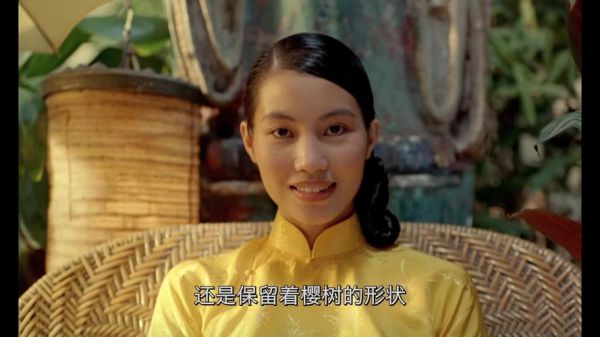 青木瓜之味讲了什么故事_青木瓜之味深度解析-第3张图片-山城妙识