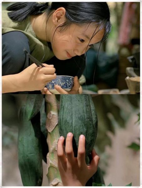 青木瓜之味讲了什么故事_青木瓜之味深度解析-第2张图片-山城妙识