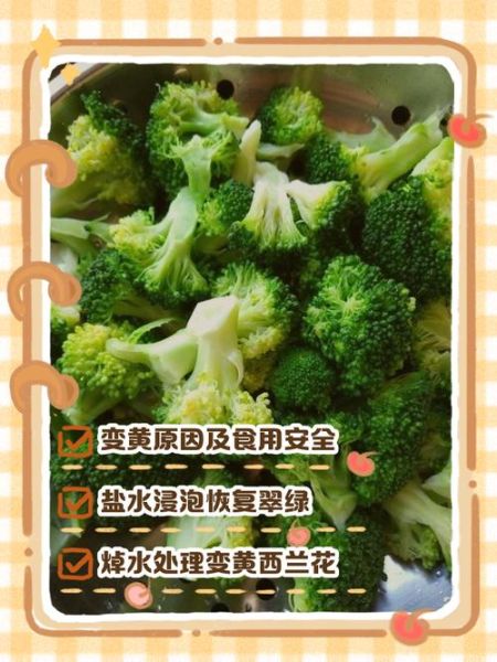 西兰花变黄掉籽能吃吗_西兰花变黄掉籽还能吃吗-第3张图片-山城妙识