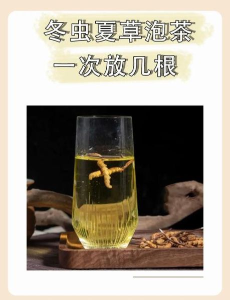 虫草泡水喝最佳方法_虫草泡水一次放几根-第1张图片-山城妙识