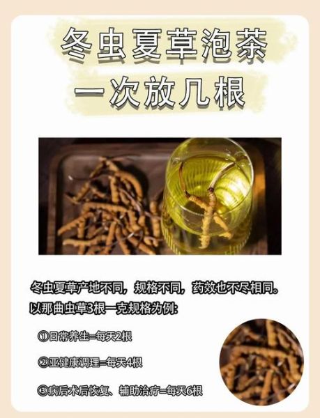 虫草泡水喝最佳方法_虫草泡水一次放几根-第3张图片-山城妙识